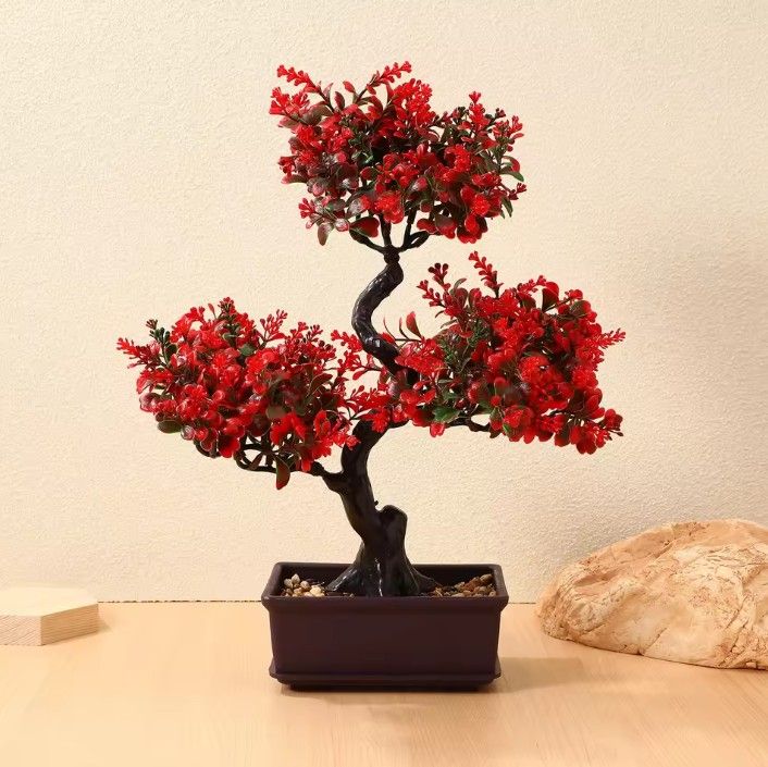 Red Japanese Balcony Maple Tree - House Plants Bonsai Tree R | Inspire ...