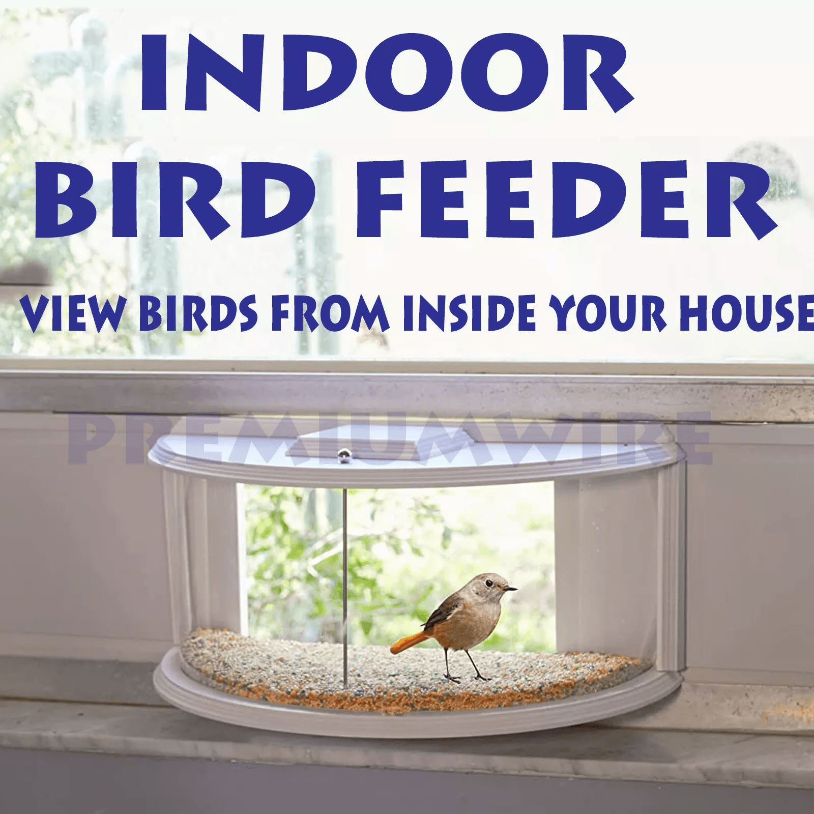 180° Clear View Window Bird Feeder – Indoor Use | Inspire Uplift