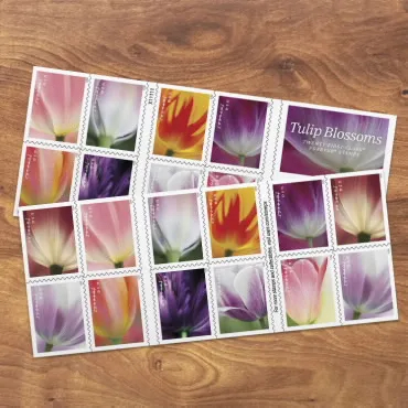 Tulips Blossom Forever First Class Postage Stamps-5 booklets | Inspire ...