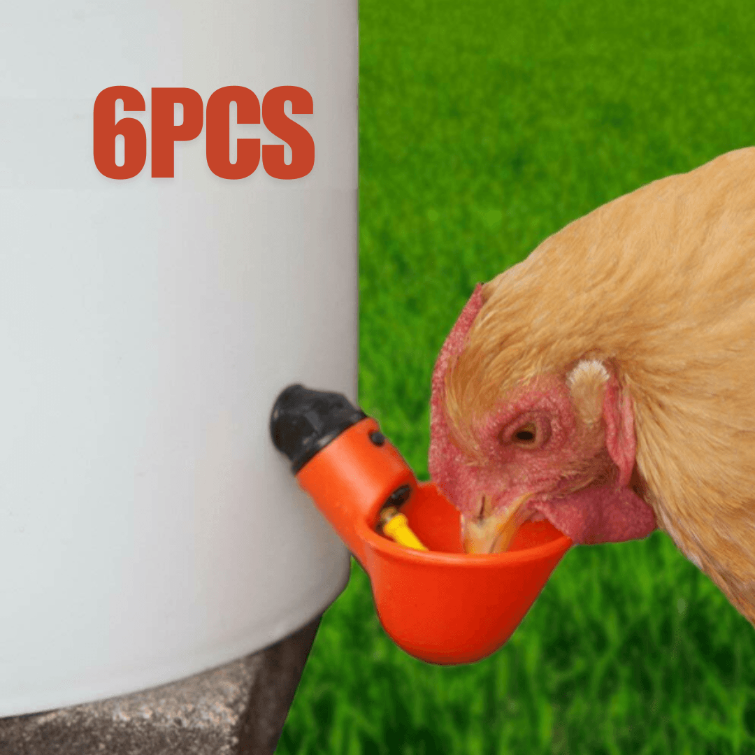 6x Chicken Automatic Watering Cups, Drinker Waterer | Inspire Uplift