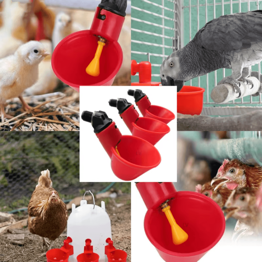 12x Chicken Automatic Watering Cups Drinker Waterer | Inspire Uplift