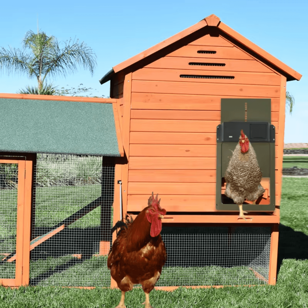 Automatic Chicken Coop Door with Timer – Electric Chicken Ru | Inspire ...