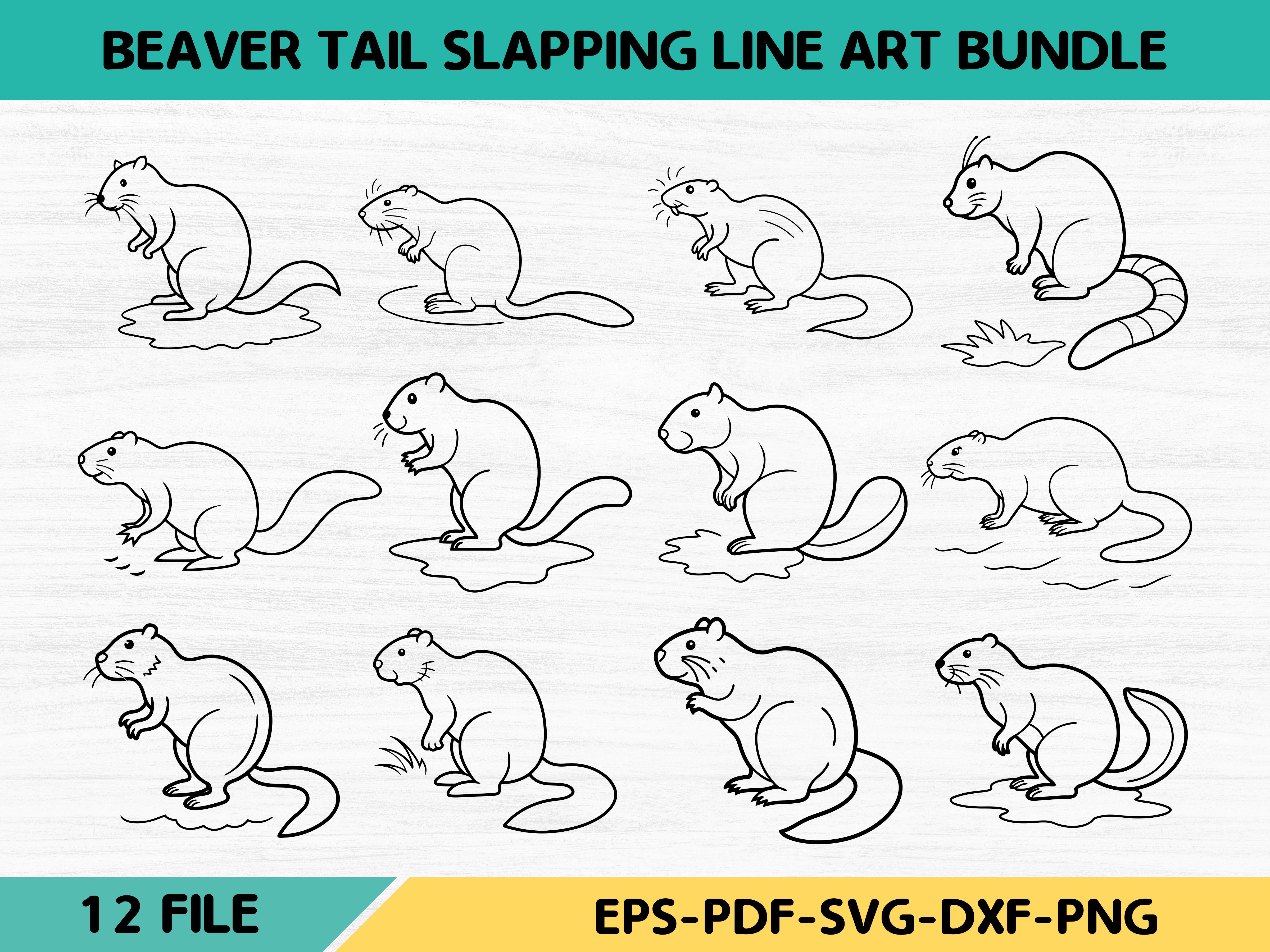 Beaver Tail Slapping Line art Bundle | Inspire Uplift