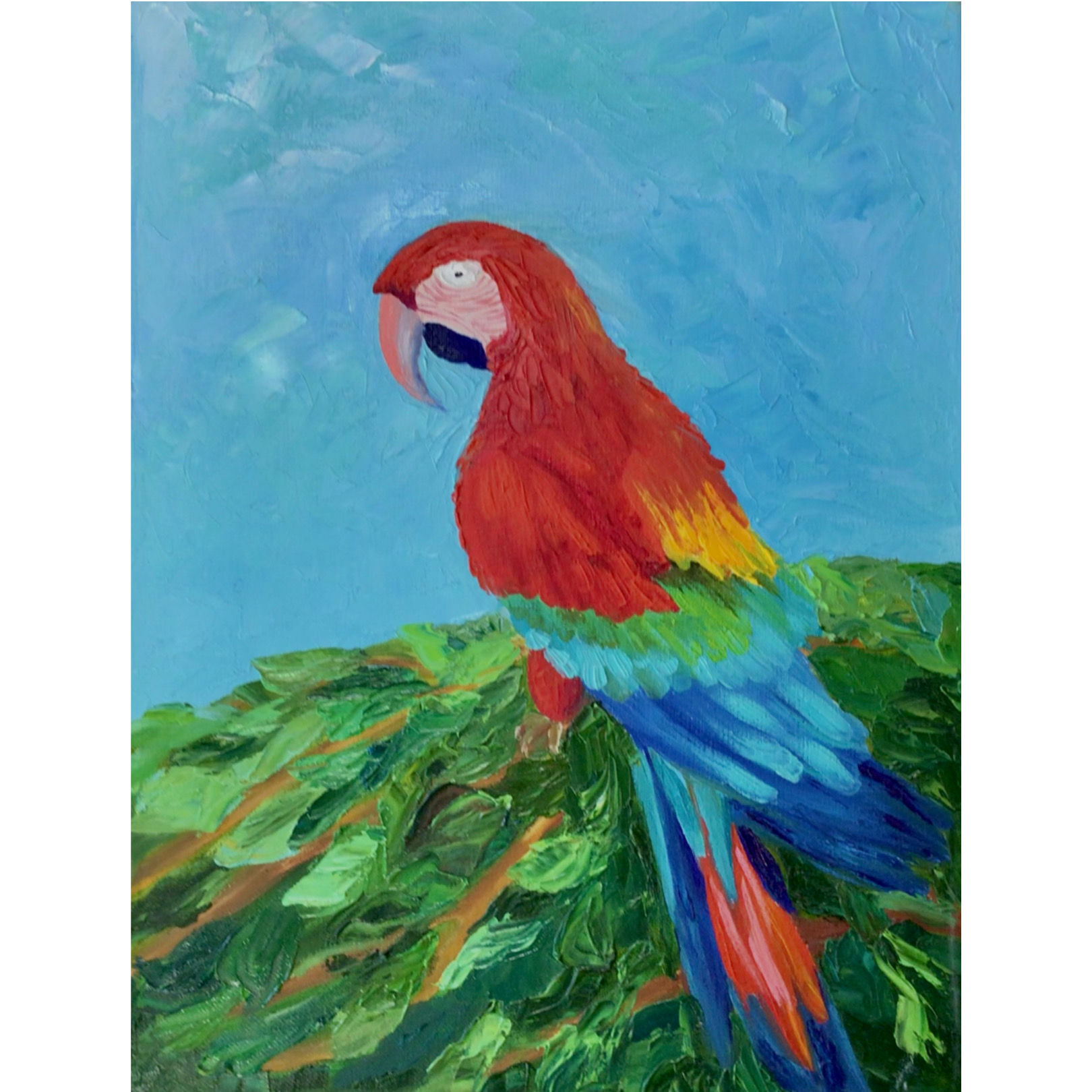 Parrot Painting Bright Macaw Parakeet Original Painting Bird | Inspire ...
