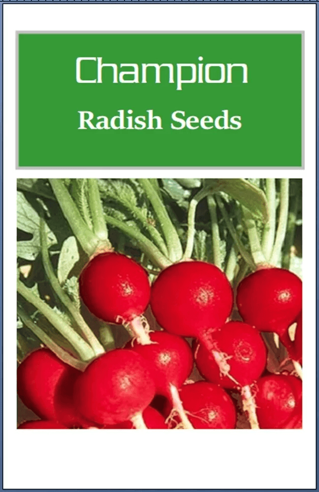 Champion Radish Seeds - Non-GMO, Heirloom, Fresh Growth | Inspire Uplift