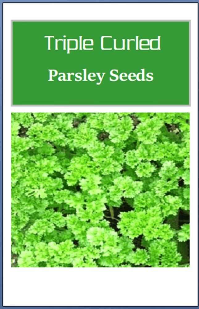 Triple Curled Parsley Seeds - Heirloom, NON-GMO Garden Herb | Inspire ...