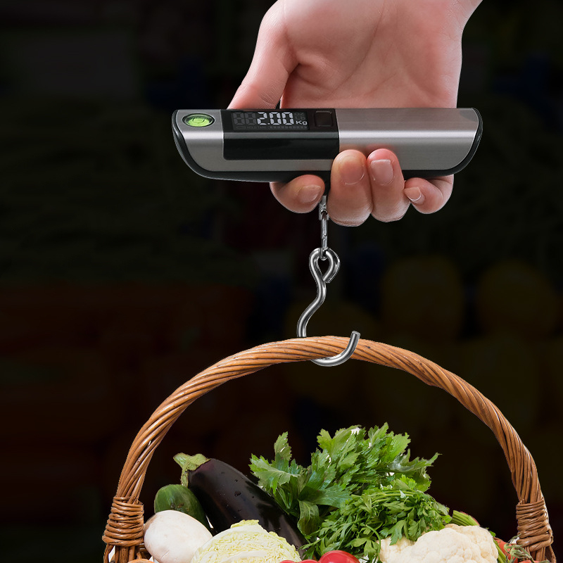 High Precision Portable Mini Hook Weighing Scale 50kg | Inspire Uplift