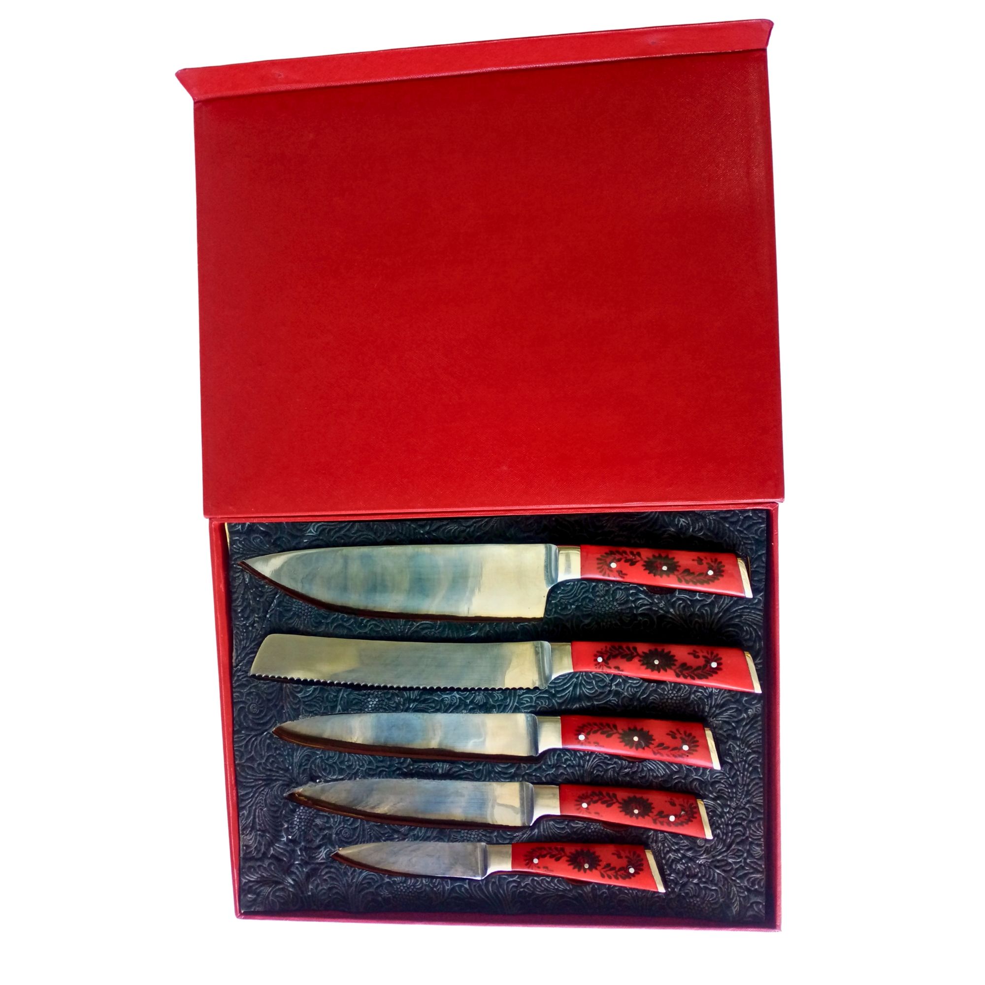 5 PCS Handmade Stainless Steel Chef Knives Set with Red Acry | Inspire ...