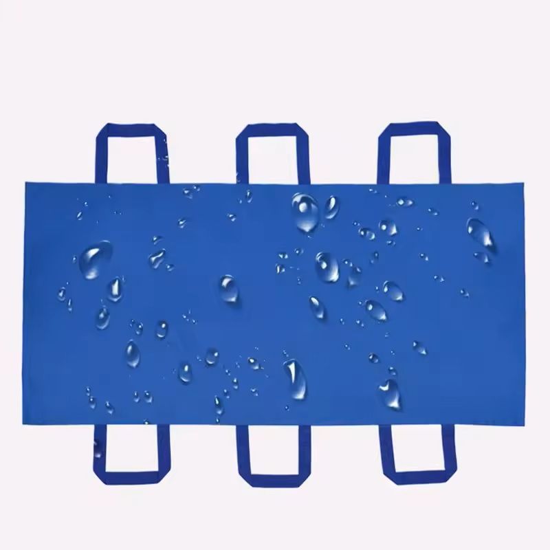 Soft Transfer Sheet with Handles for Bedridden and Elderly P | Inspire ...