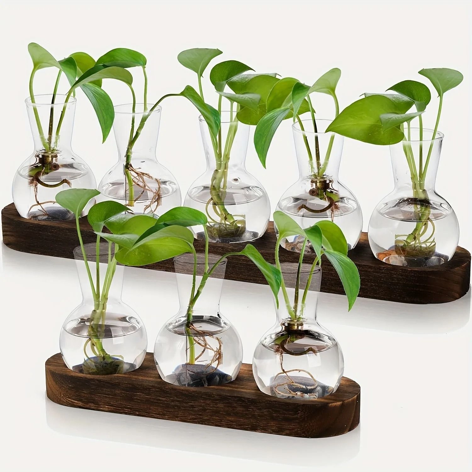 Modern Plant Terrarium Glass Vase with Wooden Tray | Inspire Uplift