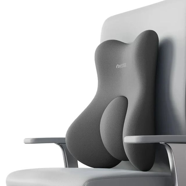 OrthoRelief Memory Foam Lumbar Cushion – Ergonomic Back Supp | Inspire ...