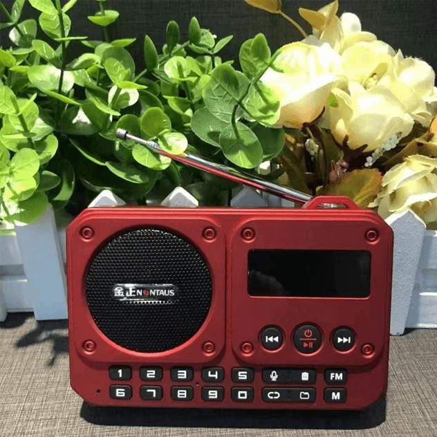 Mini Portable FM Radio with Bluetooth Speaker and TF Card Pl | Inspire ...