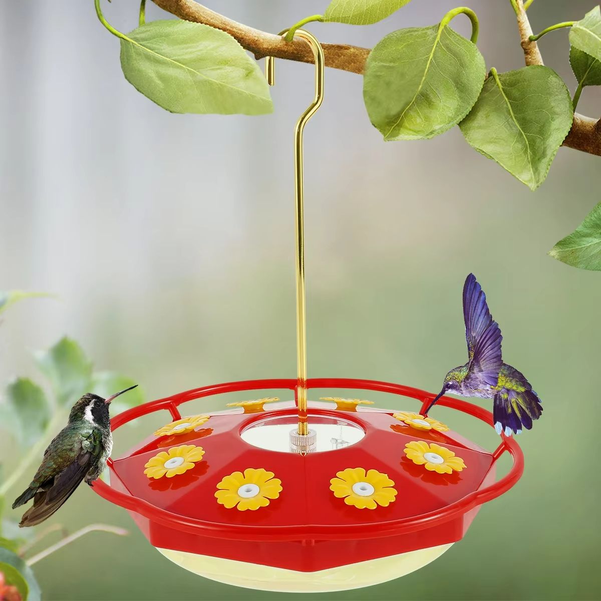 All Season Bee Proof Hummingbird Feeder with Ant Moat and Fl | Inspire ...