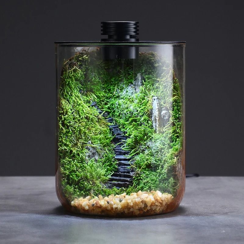 Glass Plant Terrarium with Grow Light Hydroponic Moss Contai | Inspire ...