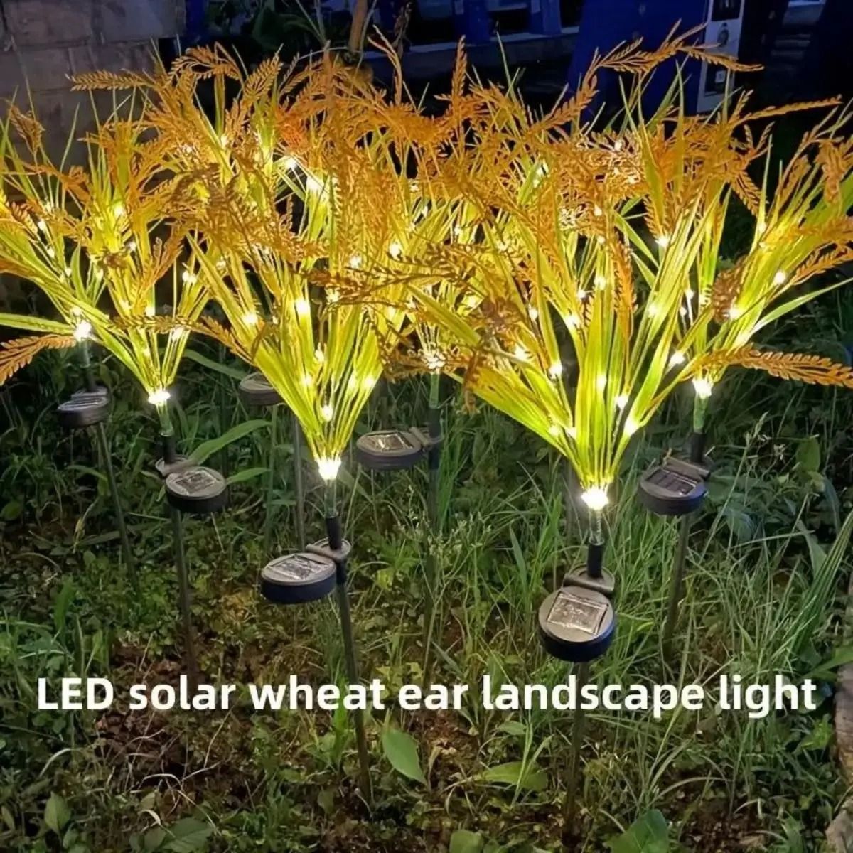 Vibrant Autumn Wheat Solar Pathway Lights | Inspire Uplift