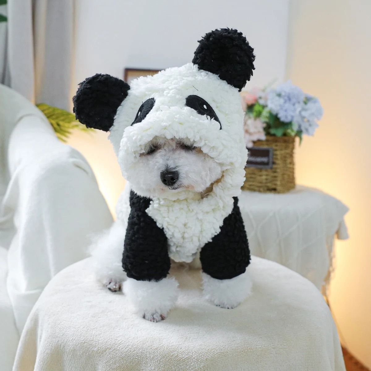 Cozy Panda Hood Pet Jacket for Autumn and Winter Warmth | Inspire Uplift