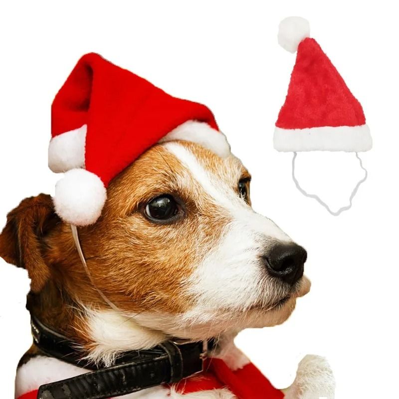 Festive Santa Hat for Pets Plush Red Holiday Cap for Dogs & | Inspire ...