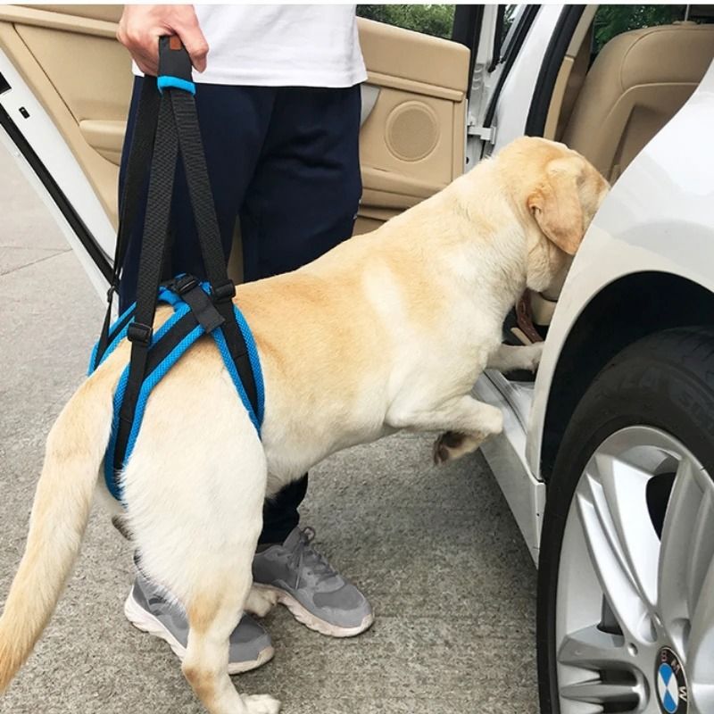 Adjustable Assist Dog Lift Harness | Inspire Uplift