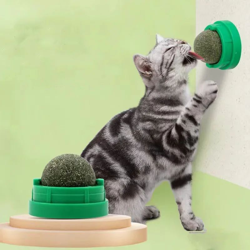Catnip Wall Stick On Ball Toy Natural Cat Treat and Digestiv | Inspire ...