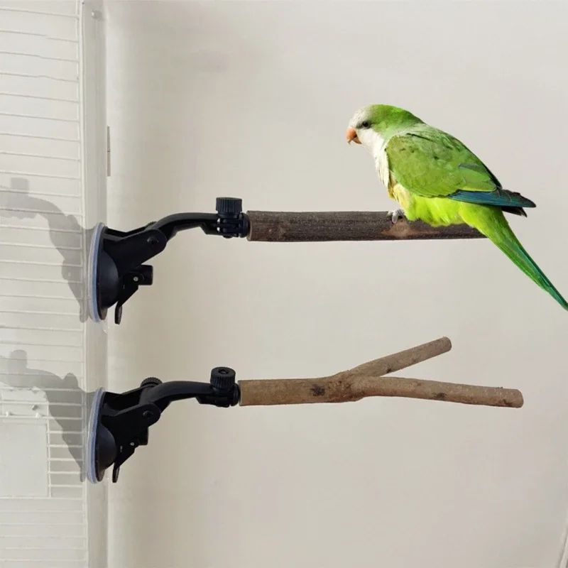 Suction Cup Window Bird Perch Stand – Natural Wood Parrot Pe | Inspire ...