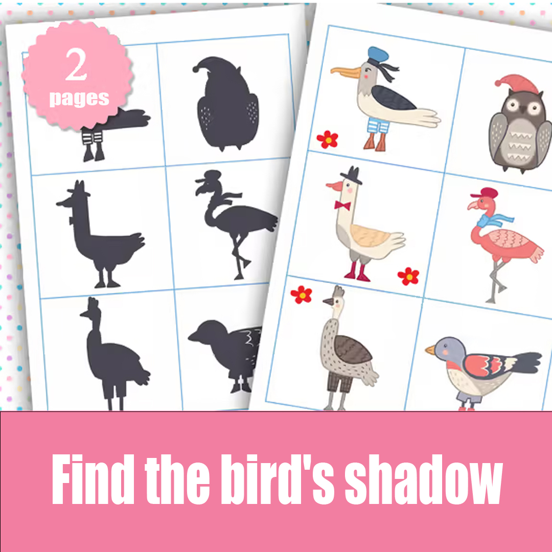 An educational game for children. Find the shadow of a bird. | Inspire ...