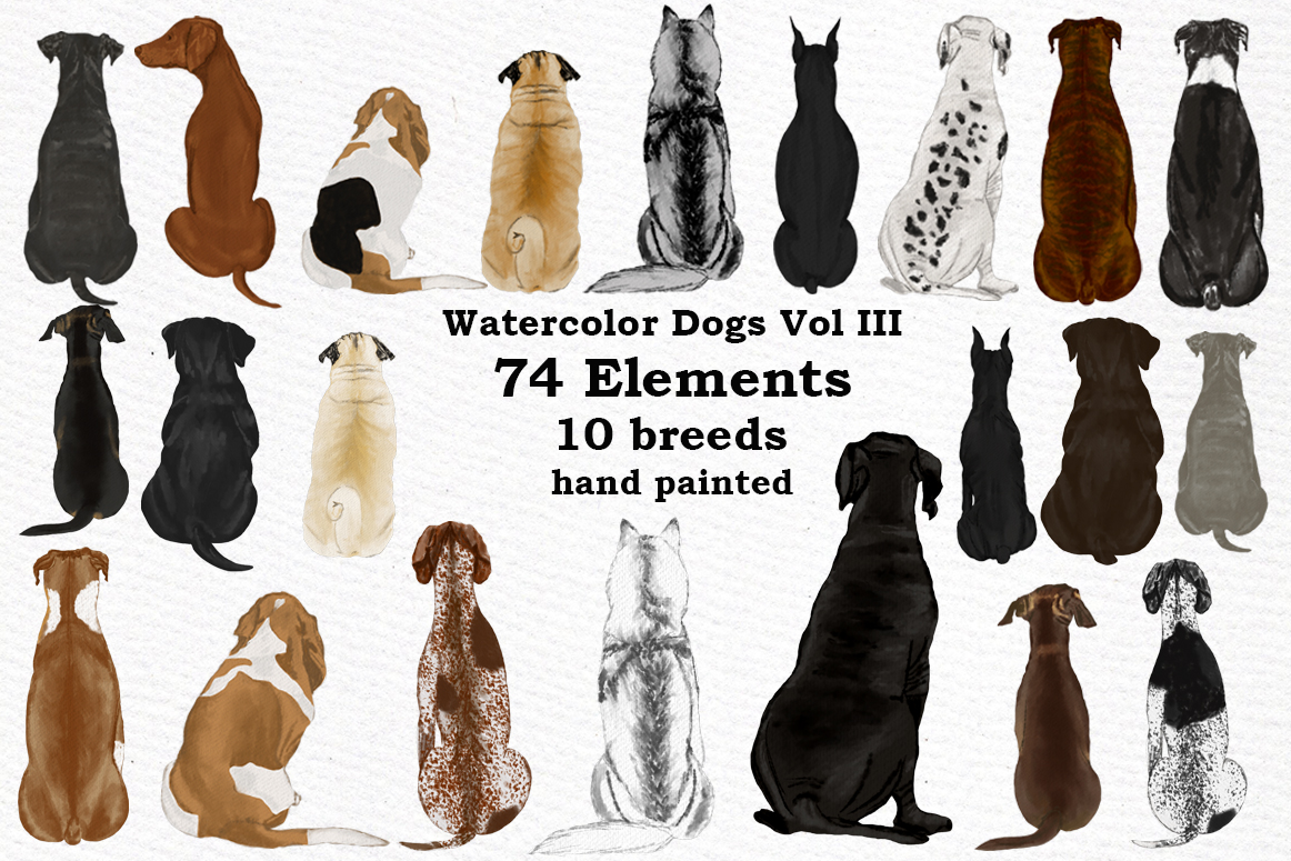 Dog Clipart Graphic Png, Animal Png, Watercolor, Dog Png, Do | Inspire ...