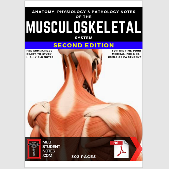 Musculoskeletal System Notes Medical Study MBBS, MD, MBChB, - Inspire ...