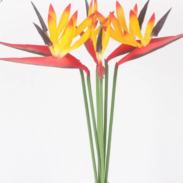 Japanese Zen Transparent Glass Vase: Simple Plant Flower Vas | Inspire ...