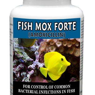 fish mox Aquarium Treatment Fish Mox Forte 500mg Capsules 10 | Inspire ...