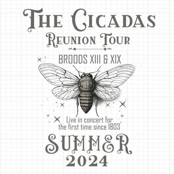 The Cicadas Reunion Tour PNG, Cicadas Invasion Summer Scream - Inspire ...